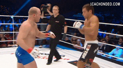 Fight Punch GIF - Find & Share on GIPHY