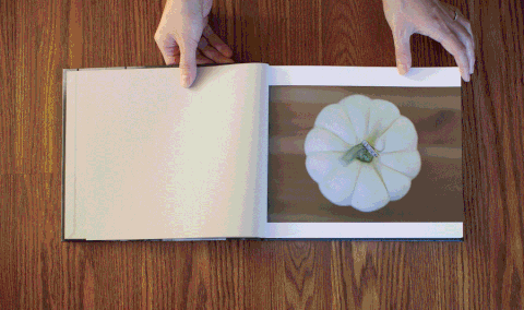 Albums GIF - Find & Share on GIPHY