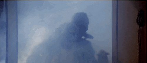 Fog GIF - Find & Share on GIPHY