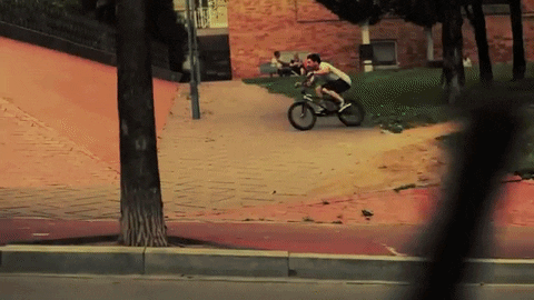 - Find & Share on GIPHY