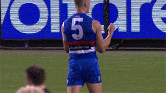 Aussie Rules Football Sport GIF by Western Bulldogs - Find & Share on GIPHY