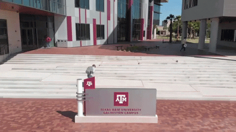 College Campus GIF by Texas A&M University - Find & Share on GIPHY