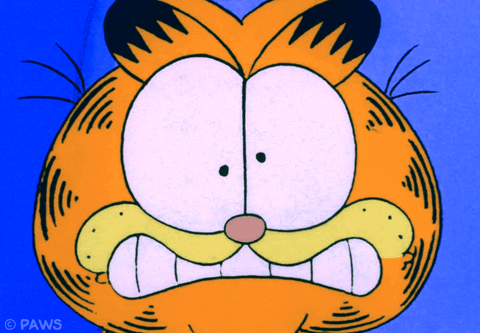 Cat Omg GIF by Garfield - Find & Share on GIPHY