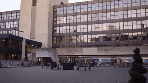 University College London GIF by UCL Institute of Education - Find ...