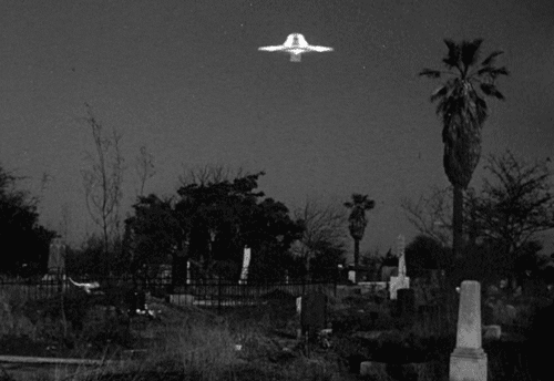 Plan 9 From Outer Space Trivia GIF by Maudit - Find & Share on GIPHY