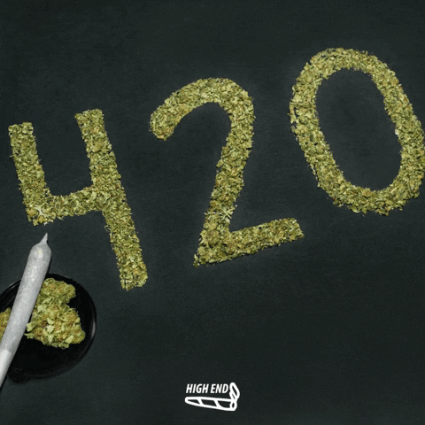 Weekend Stay High GIF by High End Graphics - Find & Share on GIPHY
