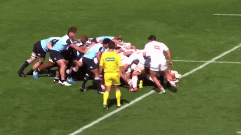 Rugby Pass GIF - Find & Share on GIPHY