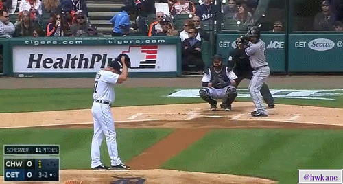 Detroit Tigers GIF - Find & Share on GIPHY
