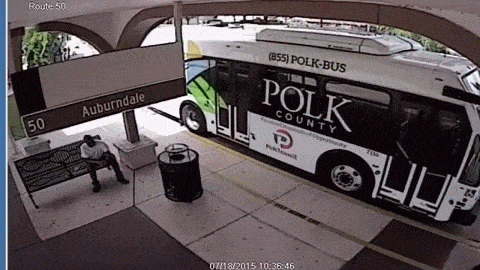 Bus GIF - Find & Share on GIPHY