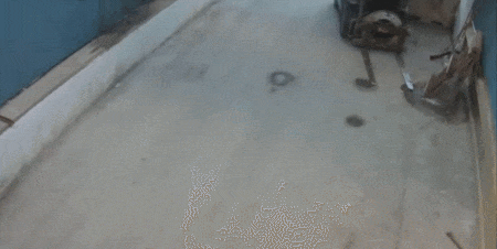 Accident Forklift GIF - Find & Share on GIPHY