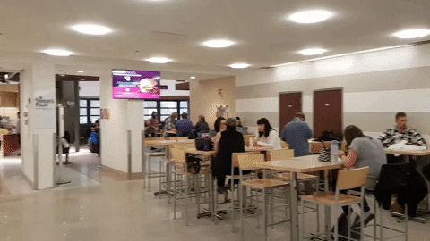 Great Hall Lunch GIF by Laurentian University - Find & Share on GIPHY