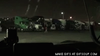 Lizards GIF - Find & Share on GIPHY