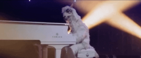 Piano Mania GIF by Fall Out Boy - Find & Share on GIPHY