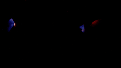 Space Fire GIF by Discovery Europe - Find & Share on GIPHY