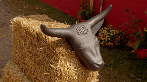 Dude Ranch GIFs - Find & Share on GIPHY