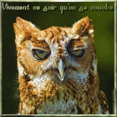 Manele GIF - Find & Share on GIPHY