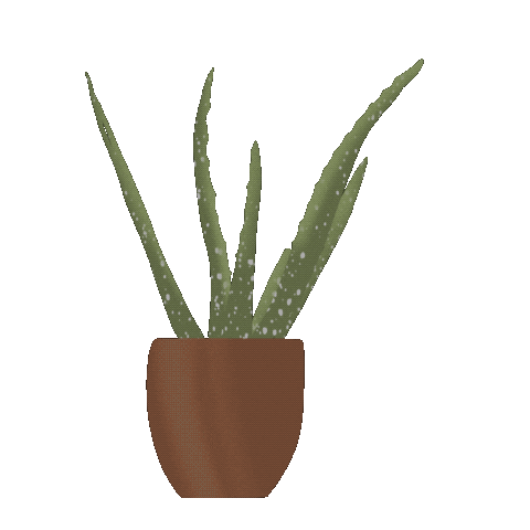 Aloe Vera Plants Sticker for iOS & Android | GIPHY