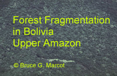 Ecology GIF - Find & Share on GIPHY