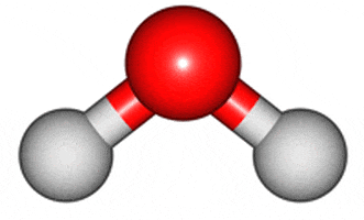 Bonding GIFs - Find & Share on GIPHY