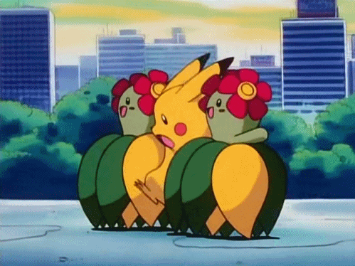 Bellossom Memes