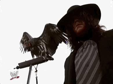 The Undertaker Sport GIF by WWE - Find & Share on GIPHY