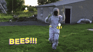 Scared Killer Bees GIF by Robert E Blackmon - Find & Share on GIPHY