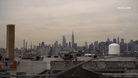 New York GIF by Hustle - Find & Share on GIPHY