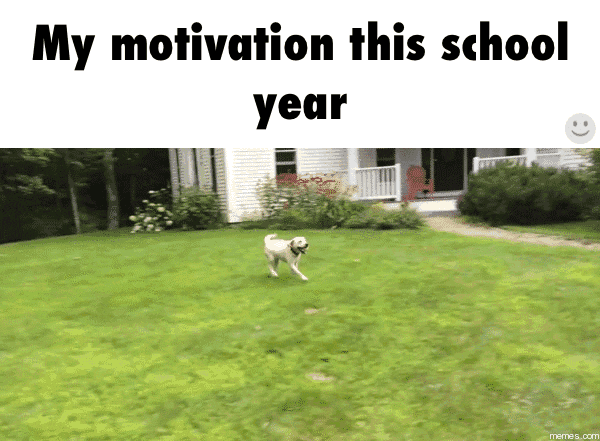 Motivation GIF - Find & Share on GIPHY