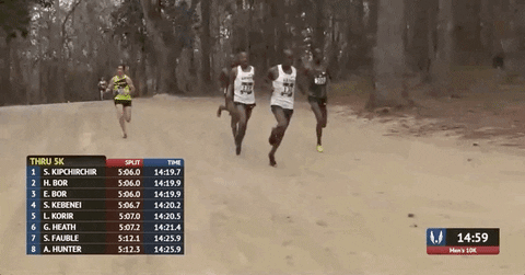 GIF by RunnerSpace.com - Find & Share on GIPHY