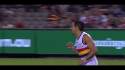 Eddie Afl GIF by Adelaide Crows - Find & Share on GIPHY