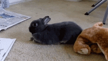 Tired Wednesday GIF - Find & Share on GIPHY