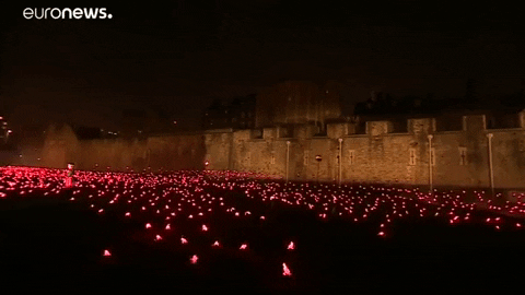 World War 1 GIF by euronews - Find & Share on GIPHY