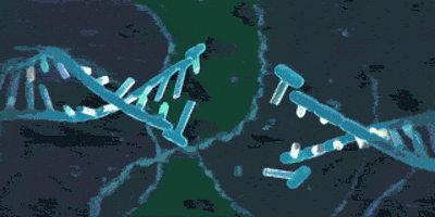 Genetic GIFs - Find & Share on GIPHY