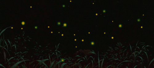Fireflies GIF - Find & Share on GIPHY