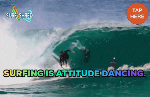 Surfing Surfshred Gif By Gif - Find & Share on GIPHY