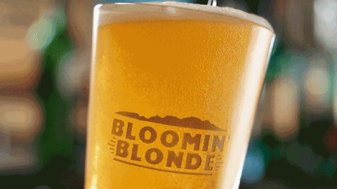 Cold Beer GIF by Outback Steakhouse - Find & Share on GIPHY