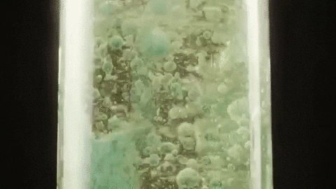 Cool Science GIF by Diply - Find & Share on GIPHY