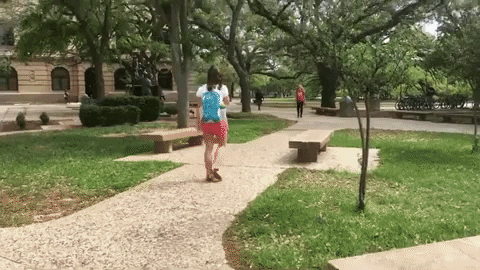 College Life GIF by Texas A&M University - Find & Share on GIPHY