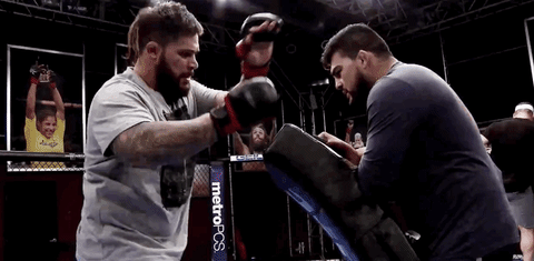Ultimate Fighter Fighting GIF by UFC - Find & Share on GIPHY
