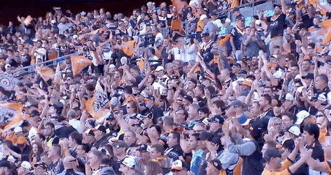 Crowd GIF by Wests Tigers - Find & Share on GIPHY