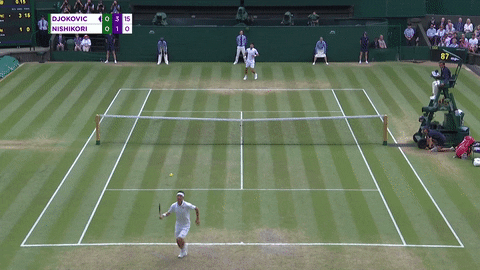 Awesome Tennis GIF by Wimbledon - Find & Share on GIPHY