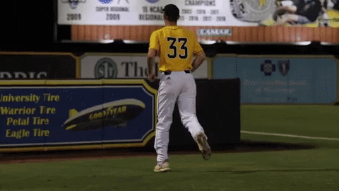 Golden Eagles Baseball GIF by Southern Miss Athletics - Find & Share on ...