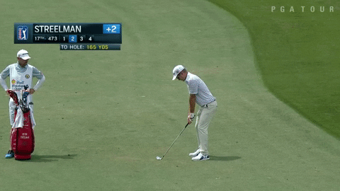 GIF by Wilson Golf - Find & Share on GIPHY