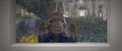 Peter Rabbit GIF - Find & Share on GIPHY
