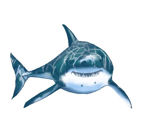 Shark Sticker by Stella McCartney for iOS & Android | GIPHY