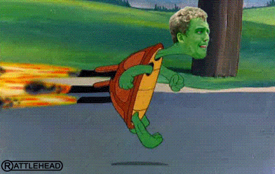 Turtle GIFs - Find & Share on GIPHY