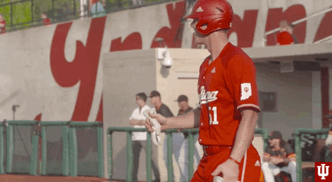 Indiana Baseball GIF by Indiana Athletics - Find & Share on GIPHY