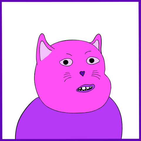 Animated Cat Memes