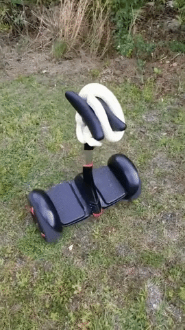 White Snake On A Segway GIF by Electric Cyclery - Find & Share on GIPHY