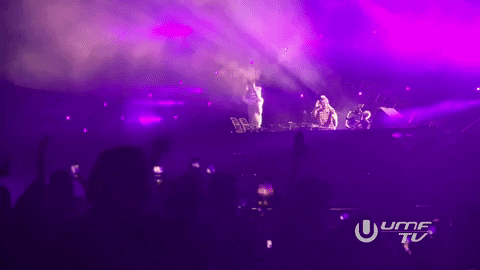 Dance Dj GIF by Tiësto - Find & Share on GIPHY